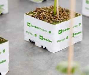 Substratos | Hortiprofissional
